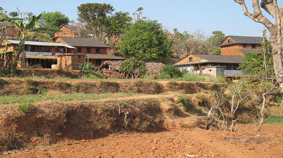 Integrated Afforestation and Reforestation - National Conservation and ...